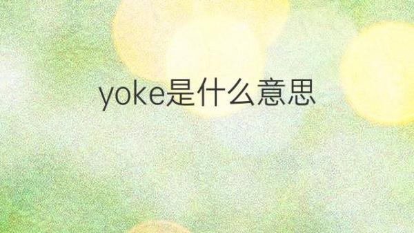 yoke是什么意思 yoke的翻译、中文解释 – 下午有课