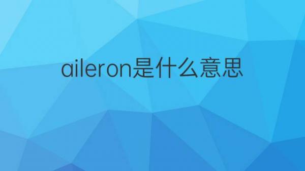 aileron是什么意思 aileron的翻译、中文解释 – 下午有课