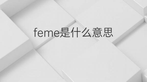 feme是什么意思 feme的翻译、读音、例句、中文解释 – 下午有课