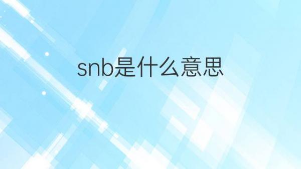 snb是什么意思 snb的翻译、中文解释 – 下午有课
