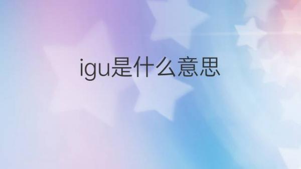 igu是什么意思 igu的翻译、读音、例句、中文解释 – 下午有课